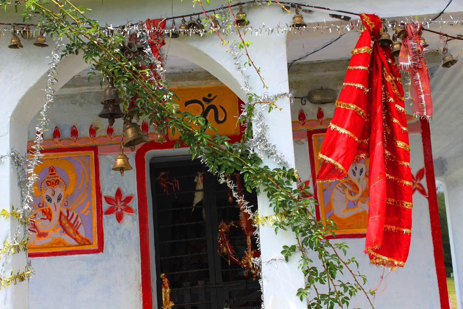 EcologyAndEvolution.Org